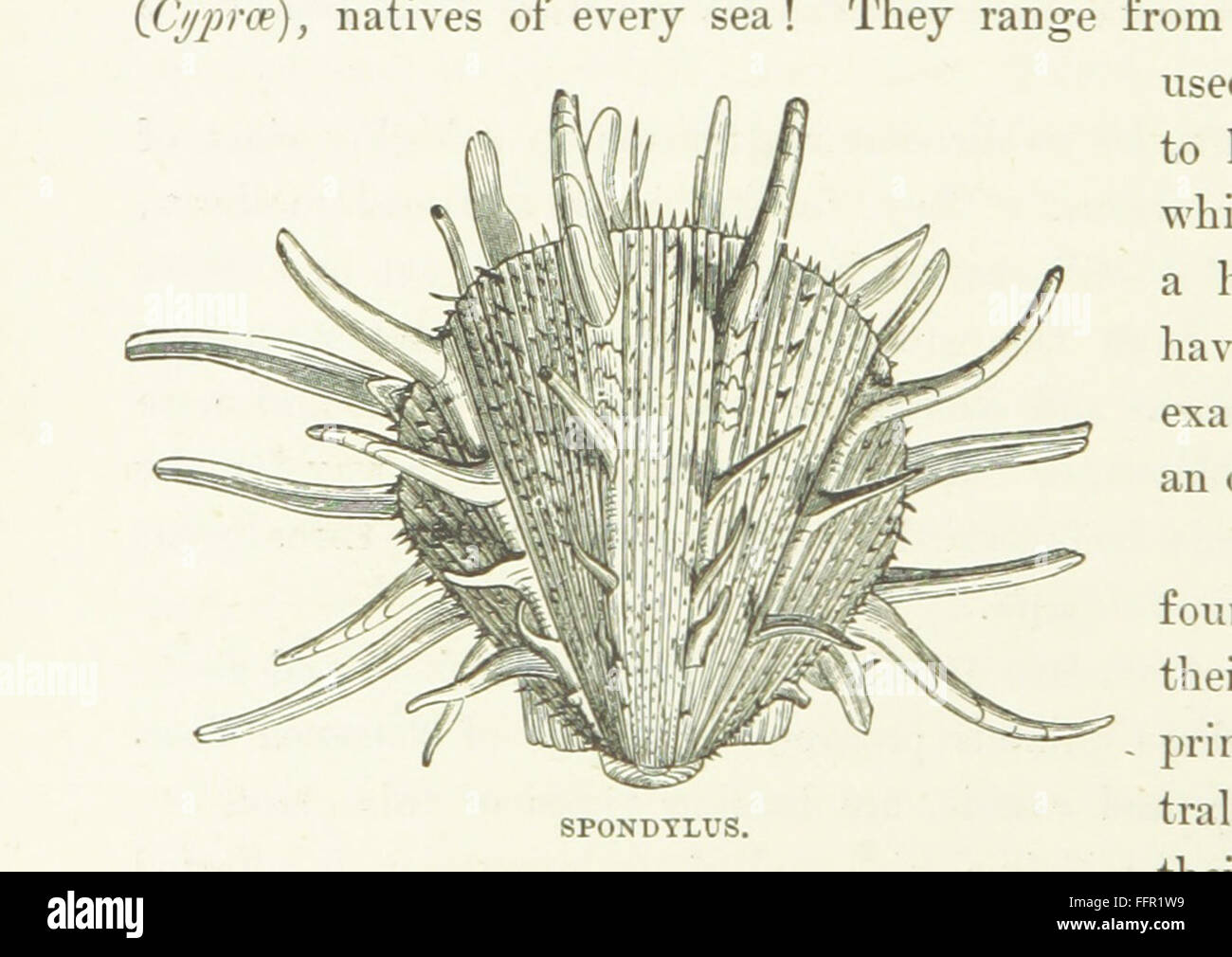 This book tells the dramatic story of the sea, focusing on the themes ...