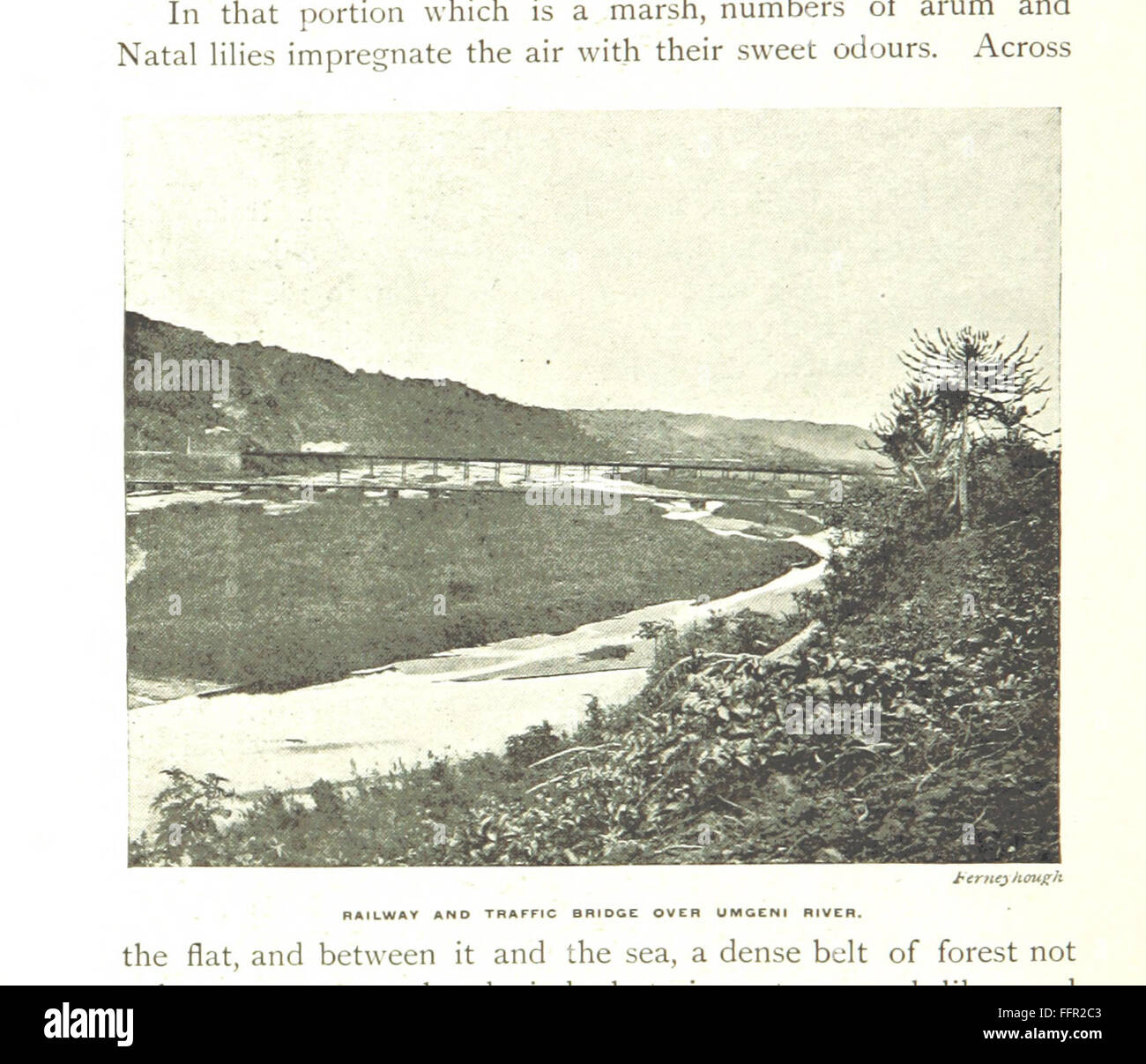 Map of the colony of natal hi-res stock photography and images - Alamy