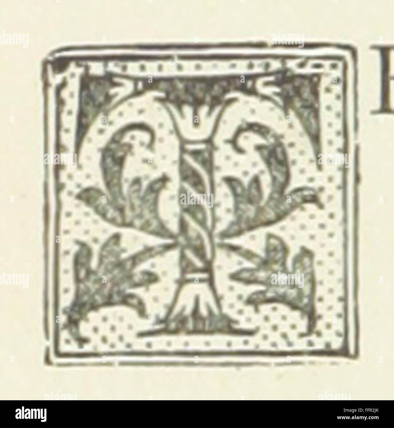 This novel presents a South African sketch, focusing on a young Dutch ...