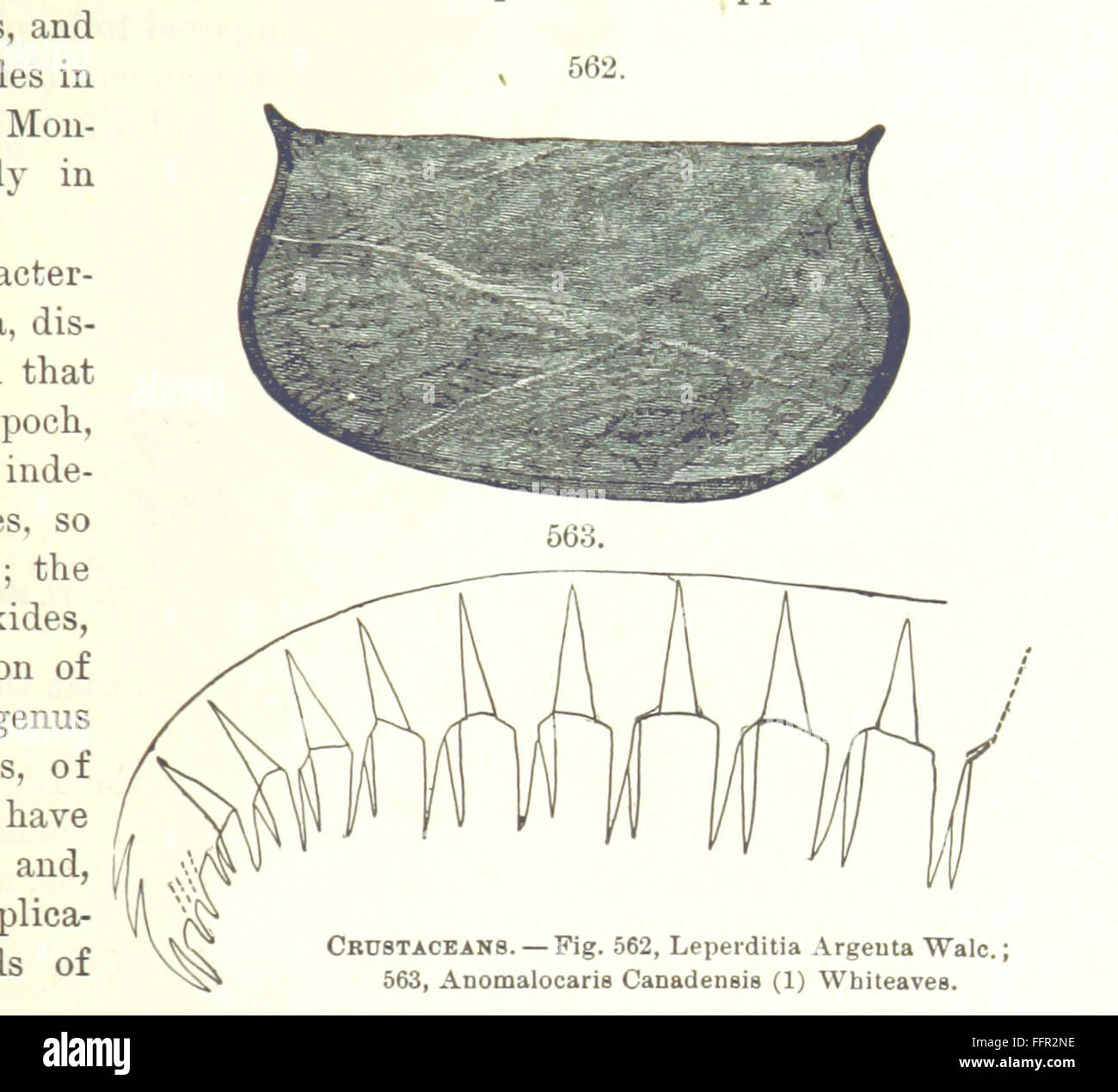 This image is from the 'Manual of Geology', a comprehensive text ...