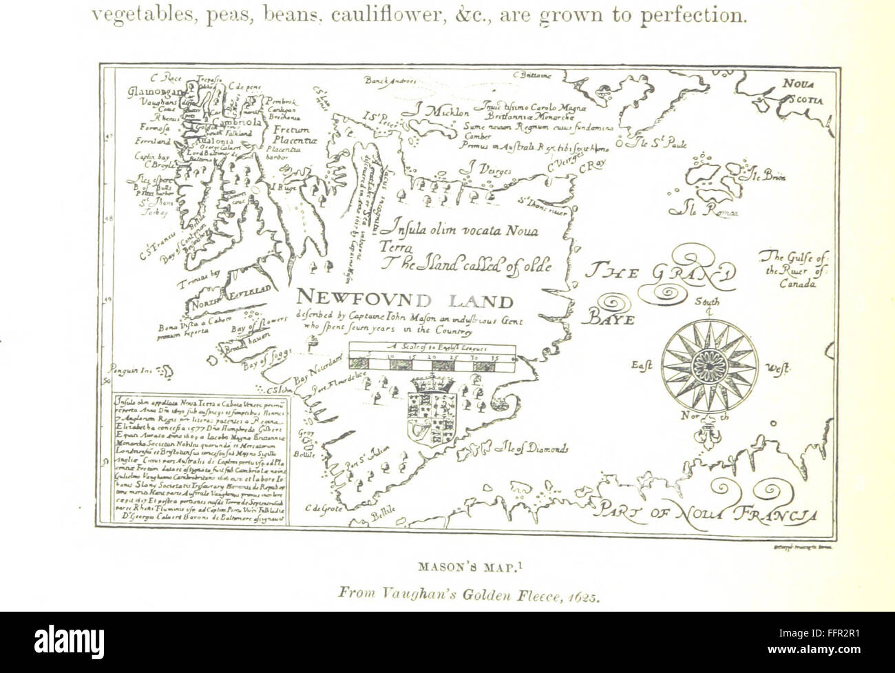 A historical book on Newfoundland’s history, using English, colonial ...