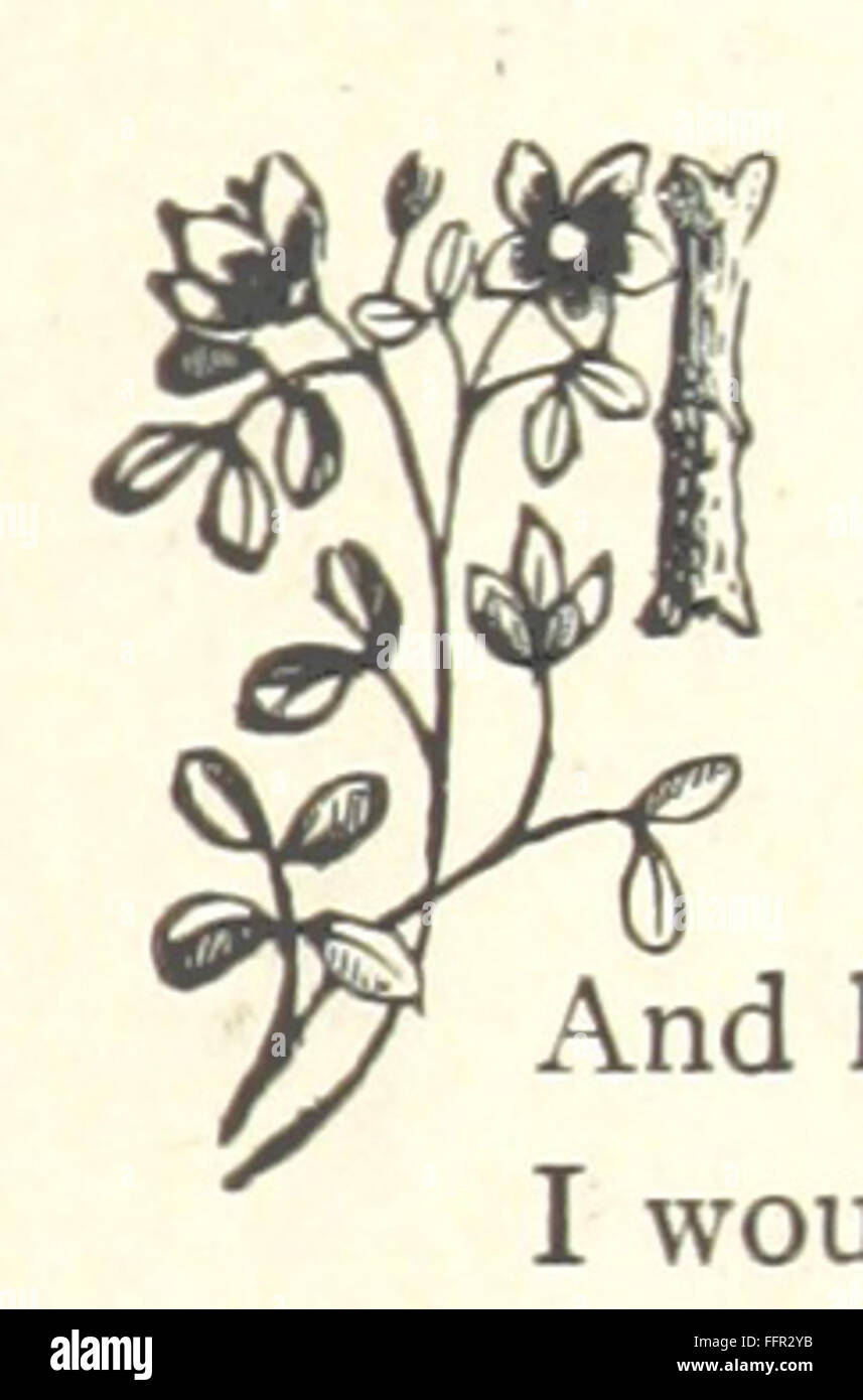 This collection of poems titled 'Disillusion' explores themes of ...