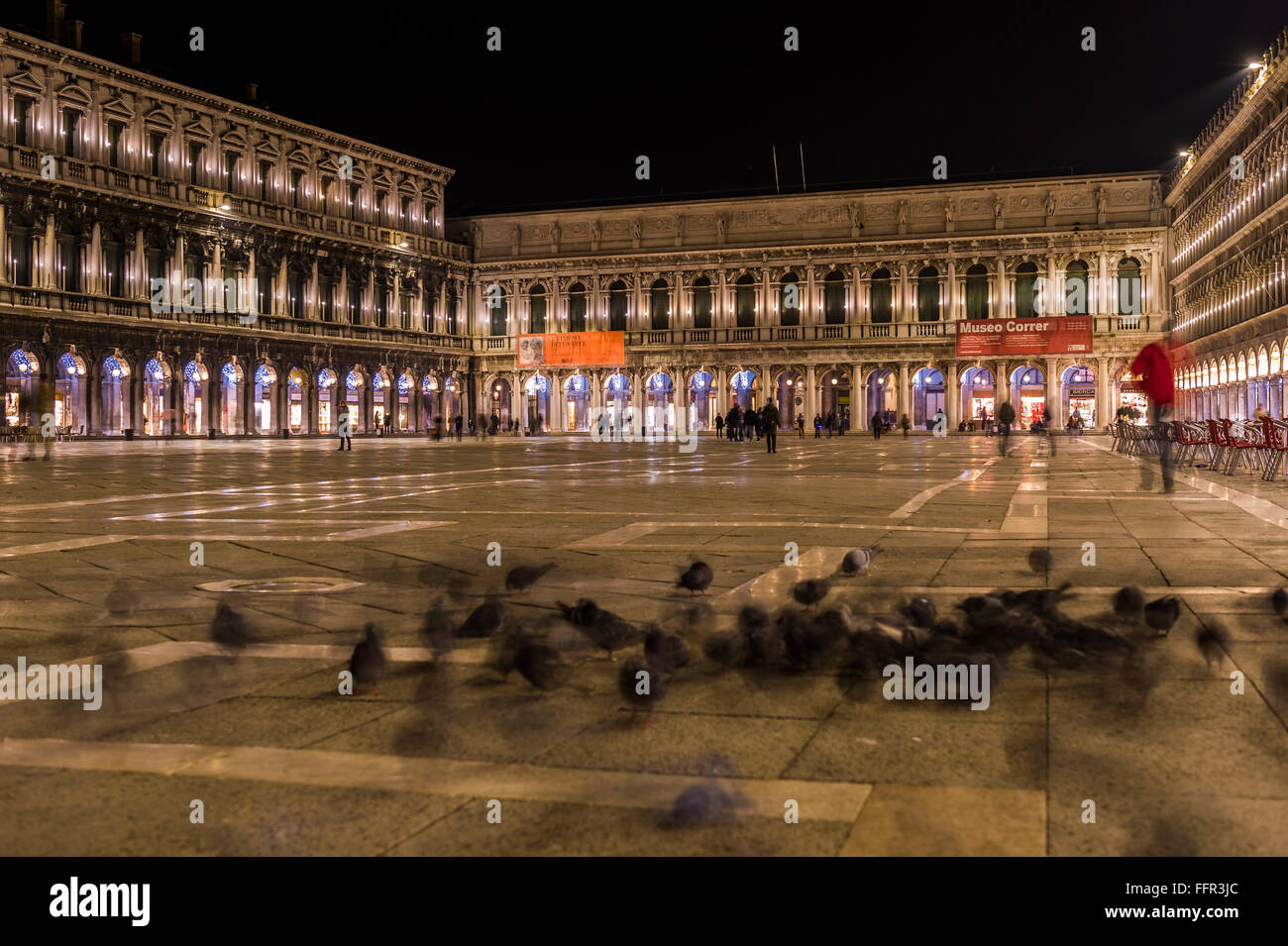 Pigeons square hi-res stock photography and images - Alamy