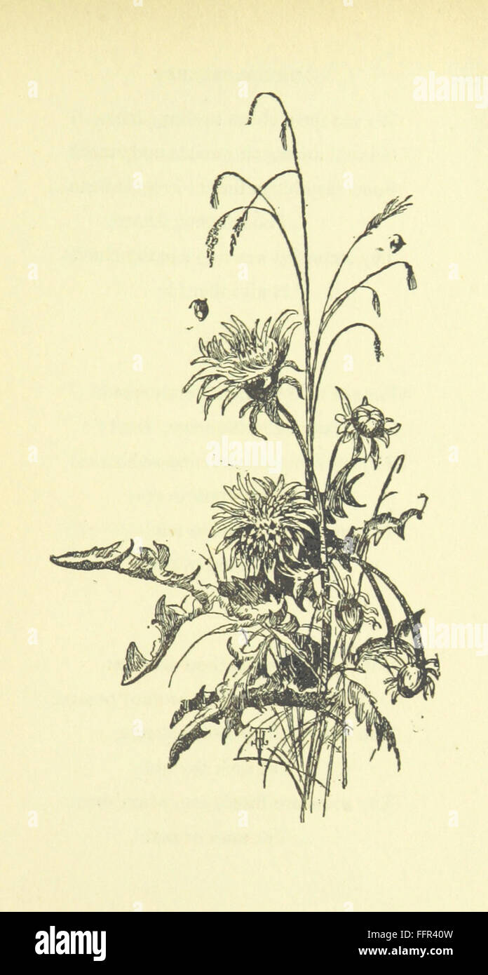 'Rambling Rhymes' is a collection of whimsical poems and verses ...