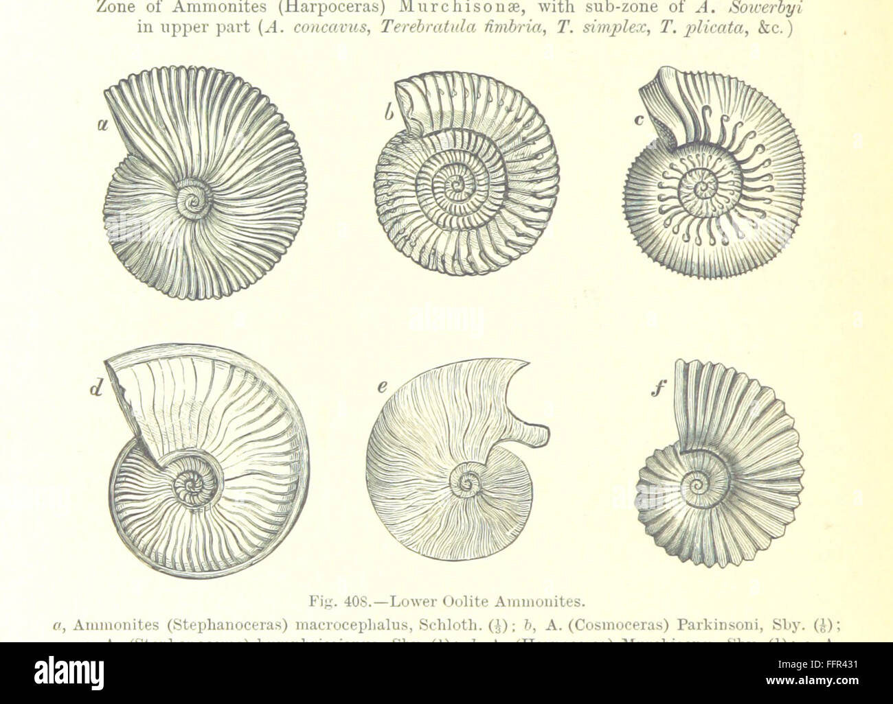 'Text-book of Geology' is a comprehensive guide to the science of ...