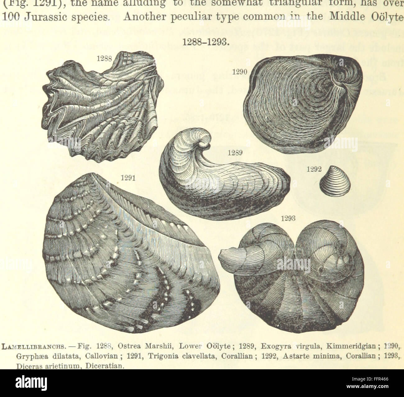 This manual offers a detailed study of geology, with an emphasis on ...