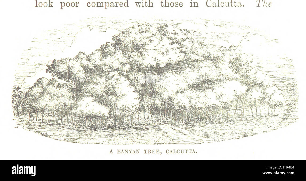 'Daily Life and Work in India' provides a detailed look into the daily ...