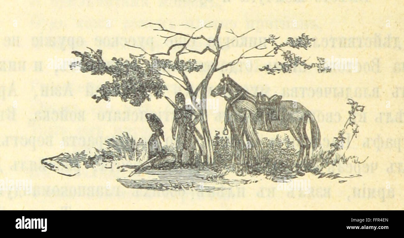 This vintage book is in an unknown language and includes detailed ...