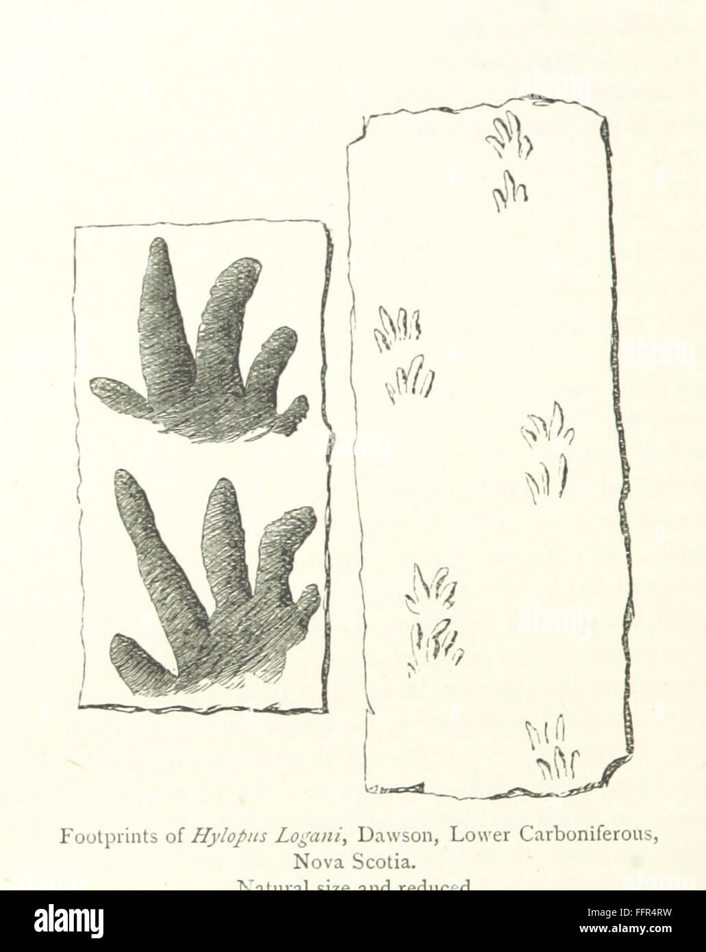 'Some Salient Points in the Science of the Earth' offers a scientific ...