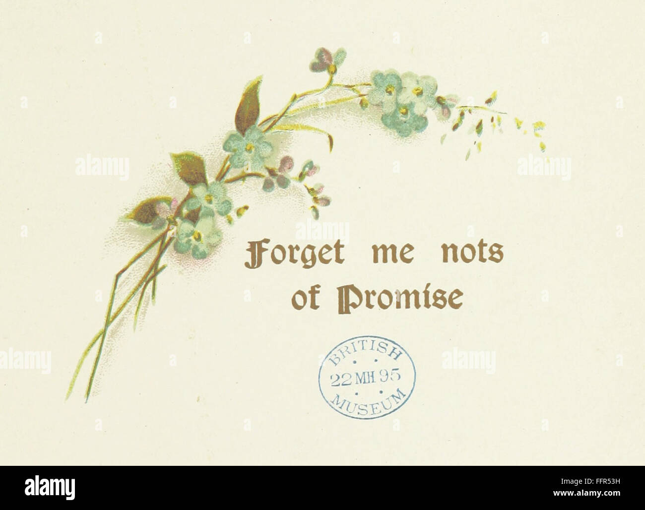 'Forget Me Nots of Promise' is a collection of biblical texts and ...