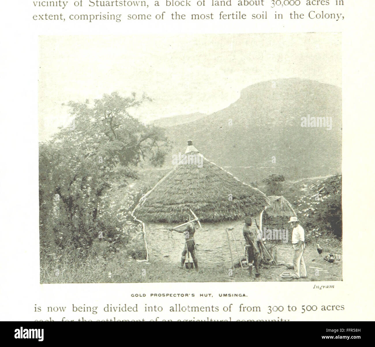 'The Colony of Natal' is an official handbook providing an illustrated ...