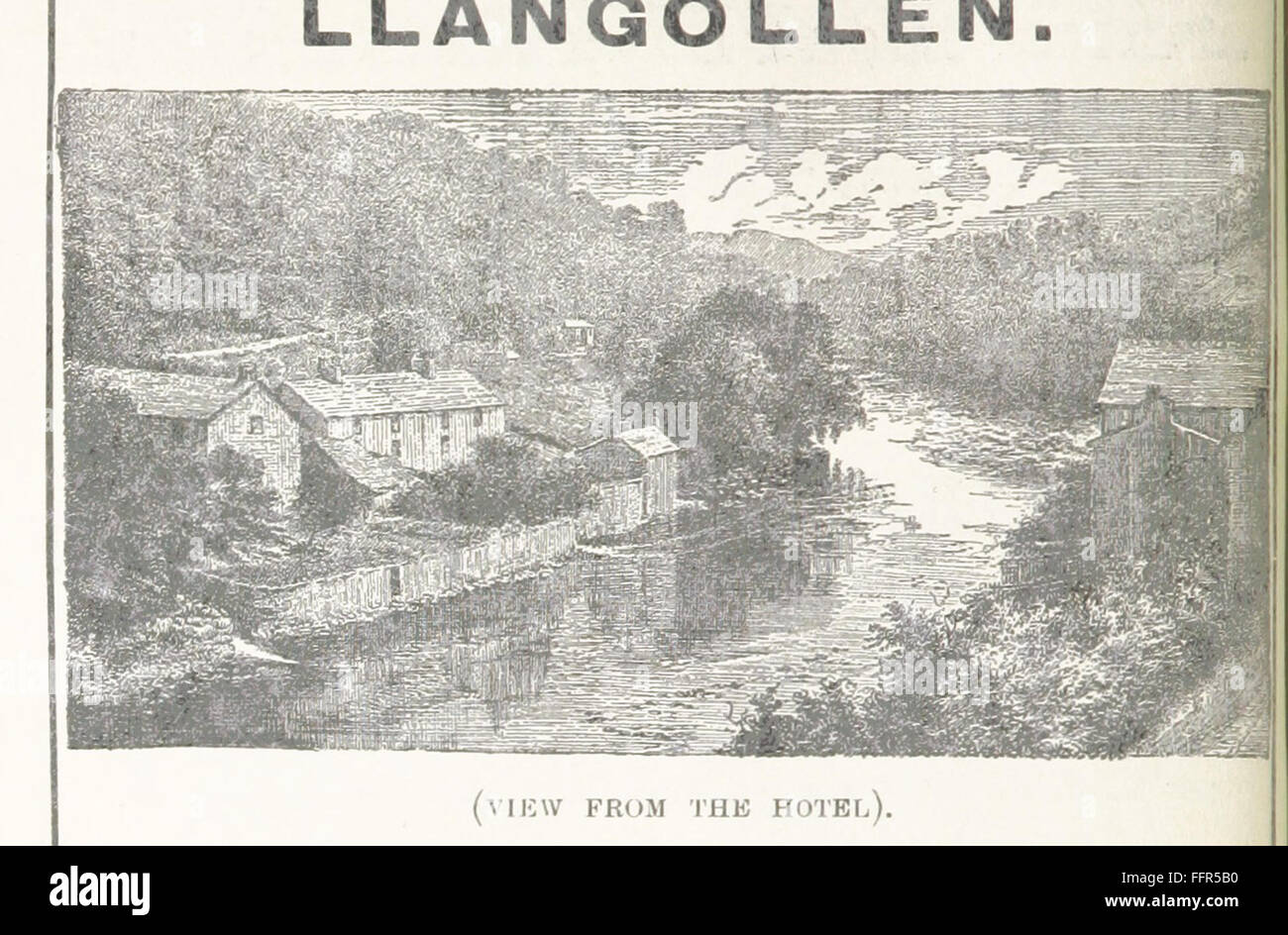 *The Birds, Wild Flowers, Ferns, Mosses, and Grasses of North Wales* is ...