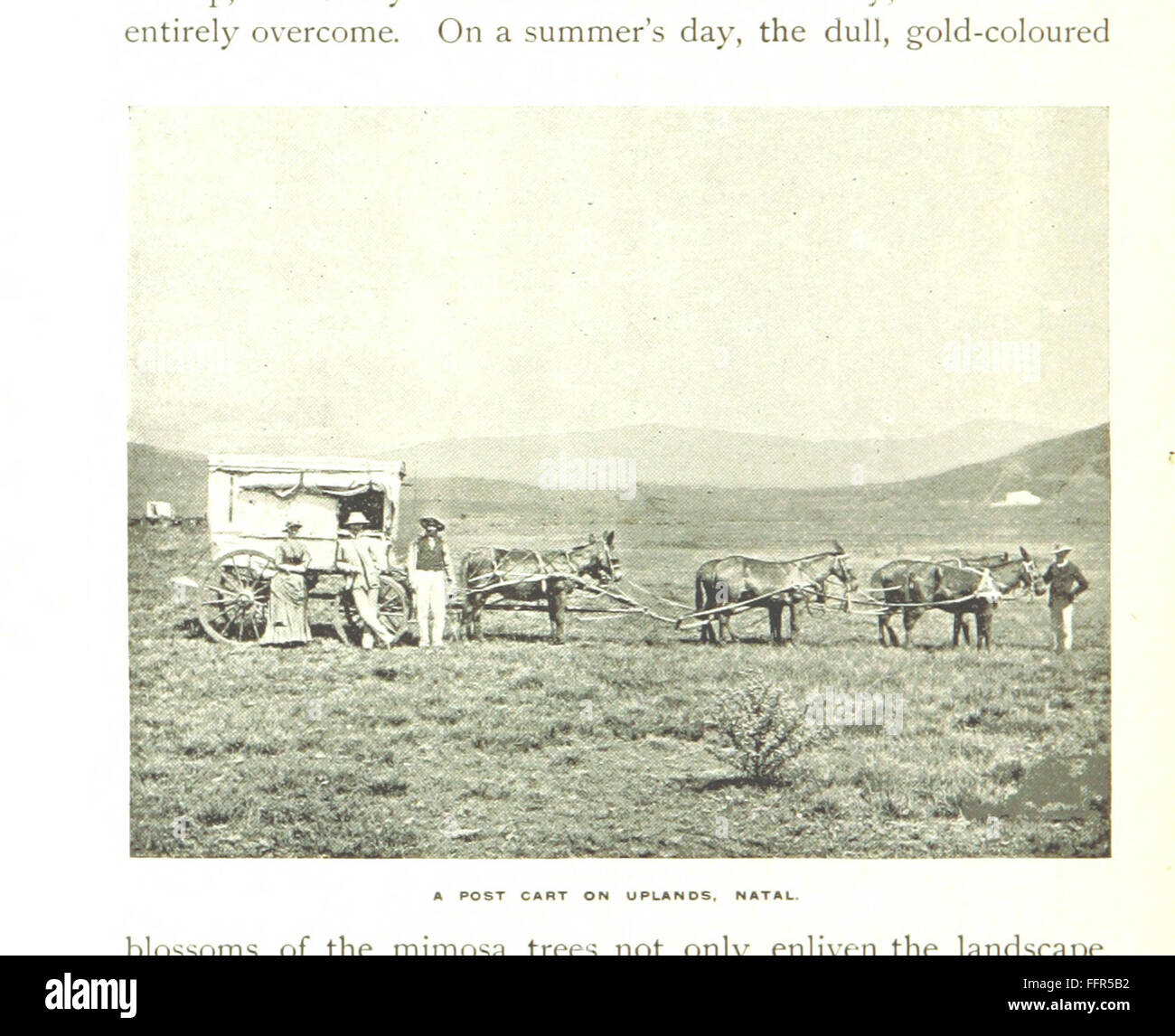 This official illustrated guide provides a comprehensive look at the ...