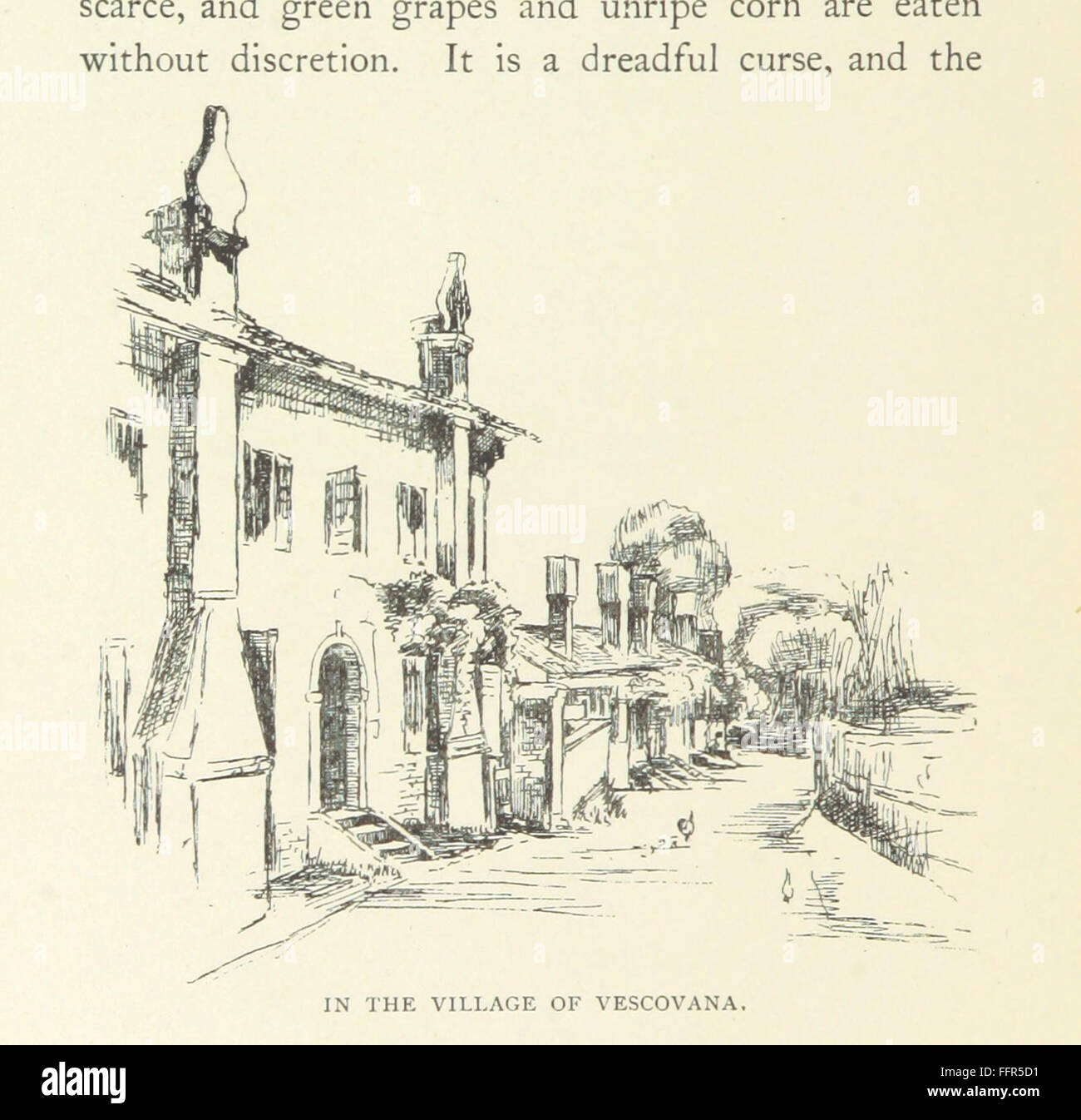 This vintage book, 'Days Spent on a Doge's Farm,' offers a charming and ...