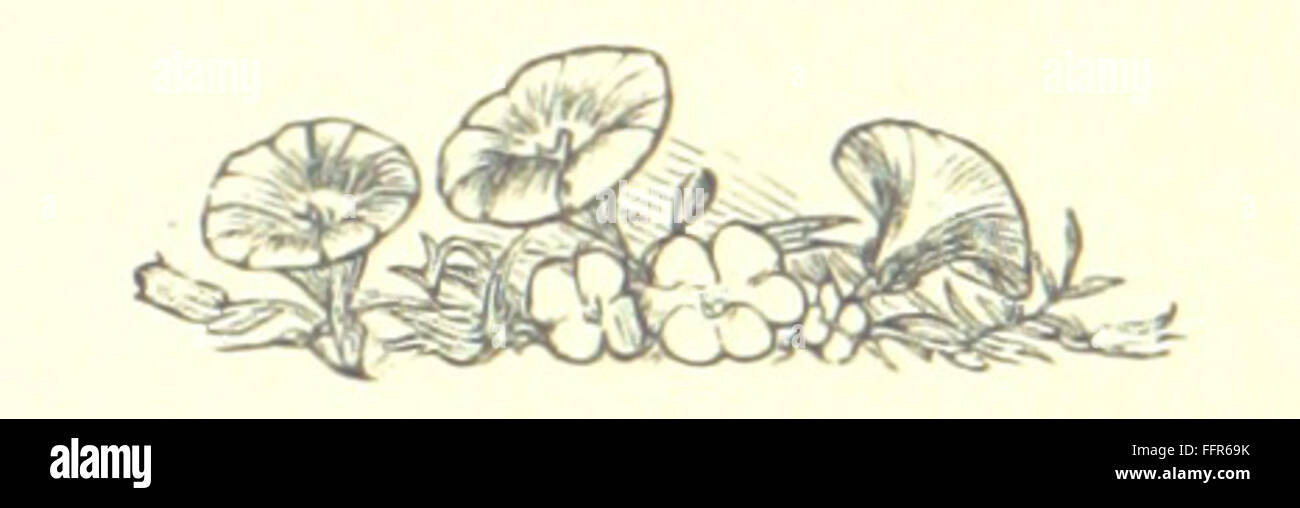 Teviotdale hi-res stock photography and images - Alamy