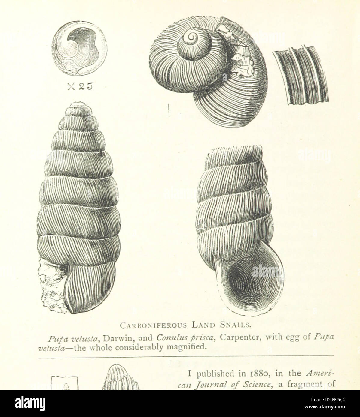 Detailed exploration earths geological hi-res stock photography and ...