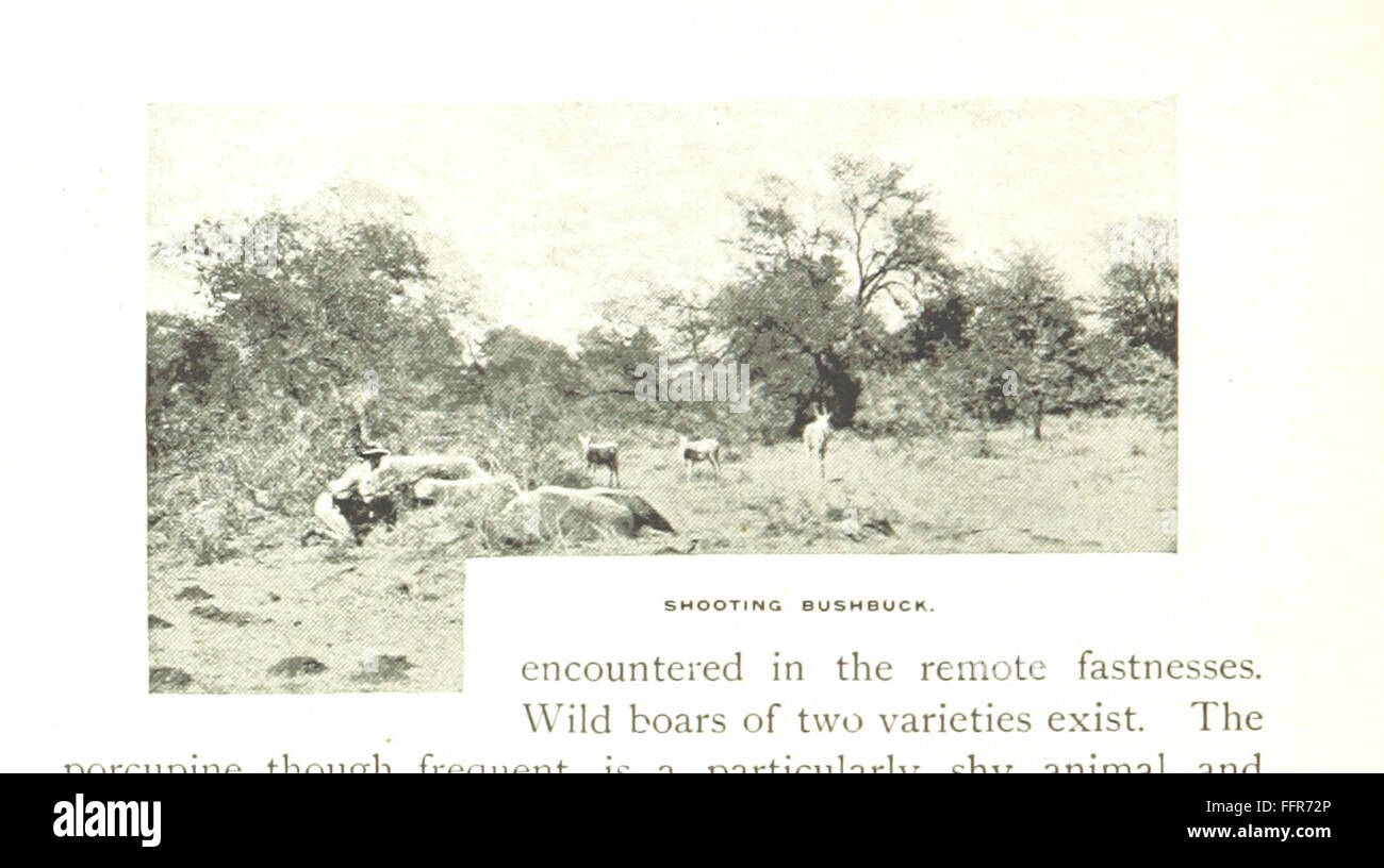 Map of the colony of natal hi-res stock photography and images - Alamy