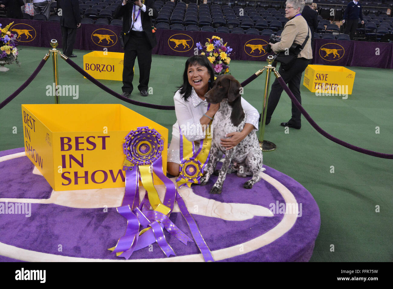 New York, USA. 16th February, 2016. C.J., a German shorthaired pointer ...