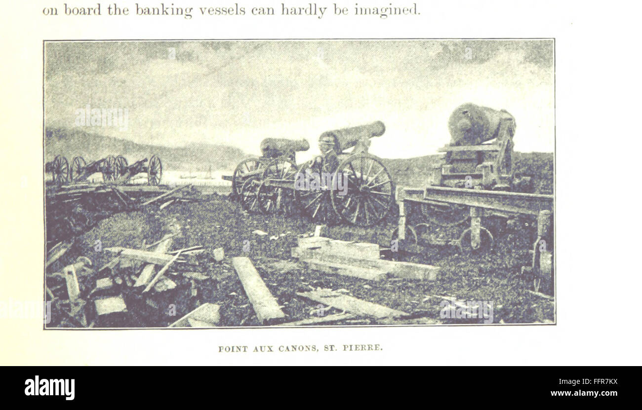 This vintage history book covers Newfoundland's past, drawing from ...