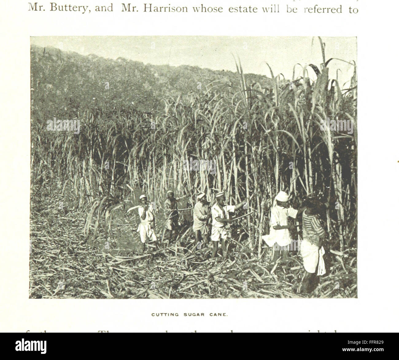 Map of the colony of natal hi-res stock photography and images - Alamy