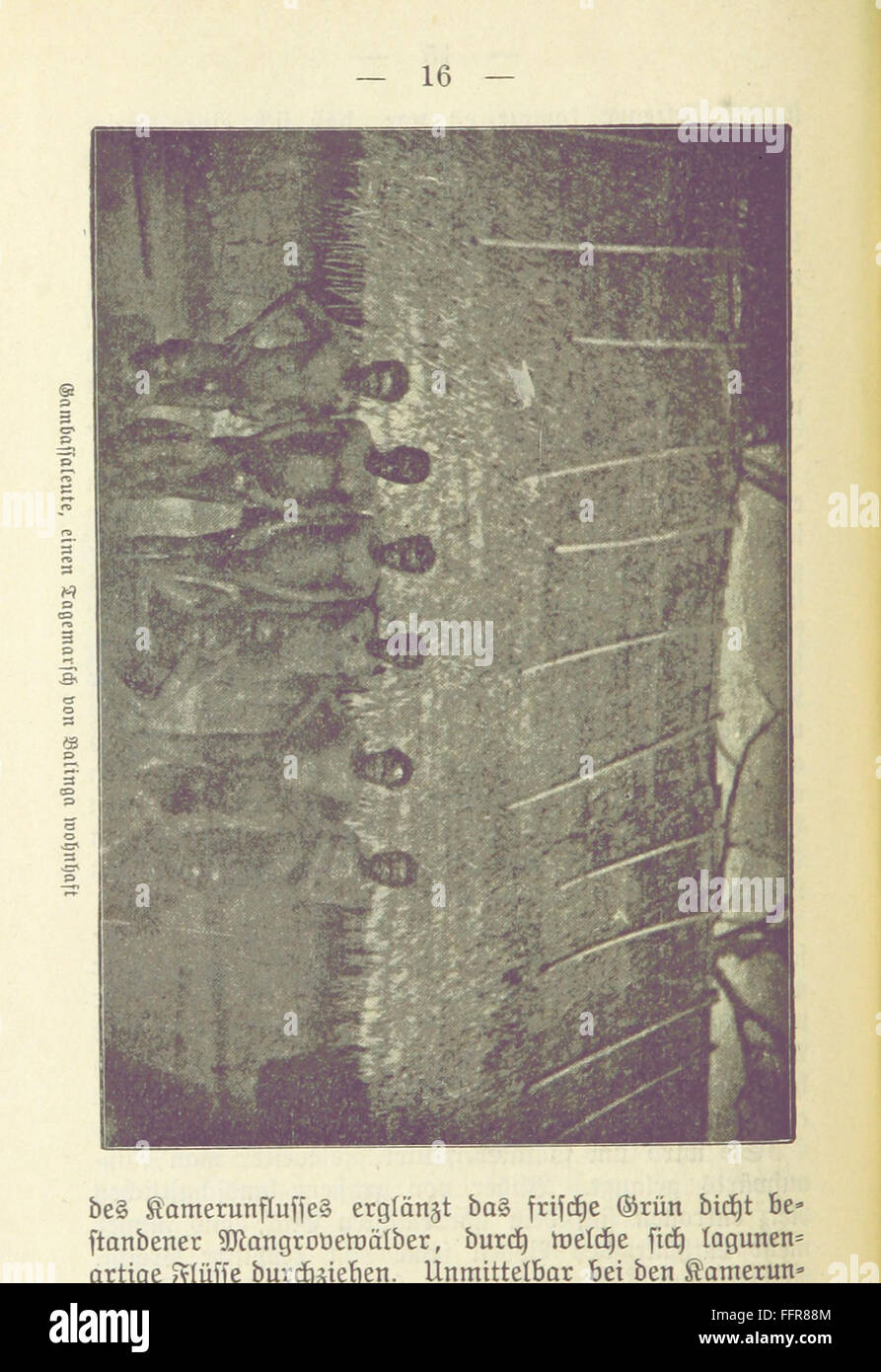 This book explores the German colonies, detailing their development ...