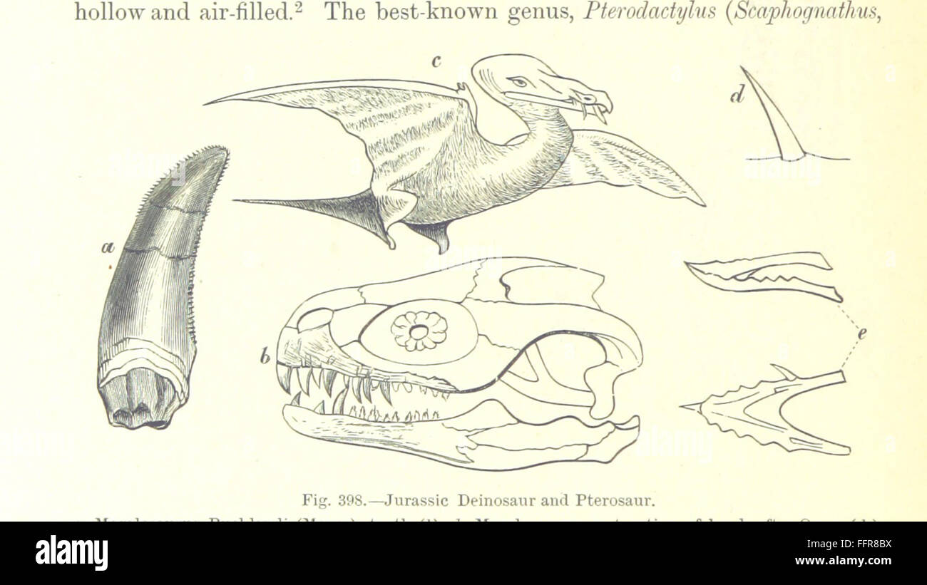 This third edition of a comprehensive geology textbook offers an ...