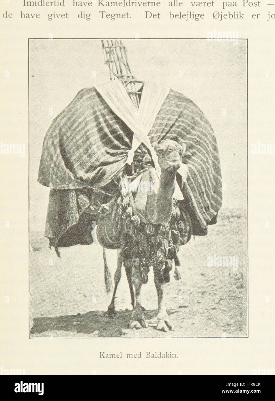 This vintage book covers the geography and culture of Algeria and the ...