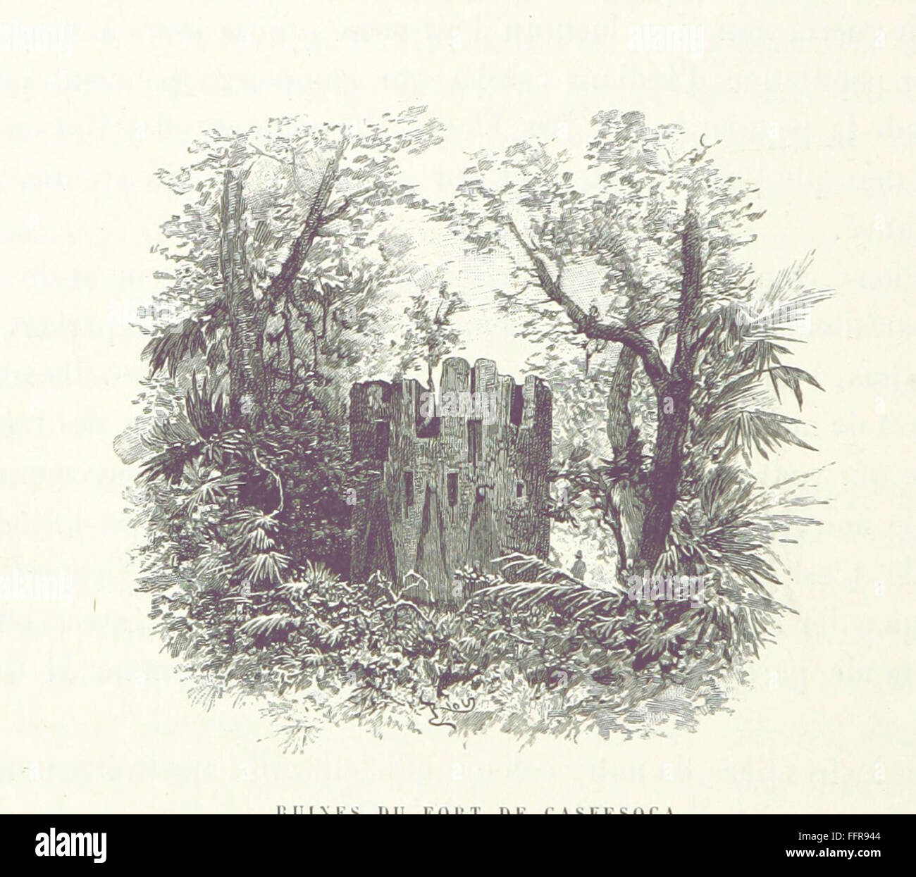 'Chez nos Indiens' is a French-language vintage book detailing four ...