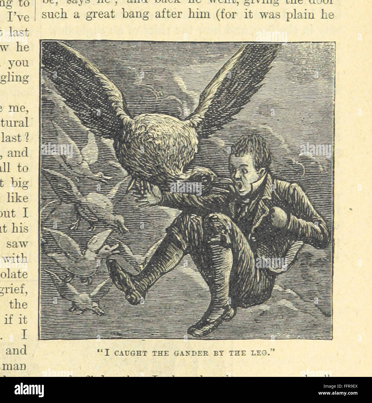 A collection of works by various popular authors, offering a diverse ...