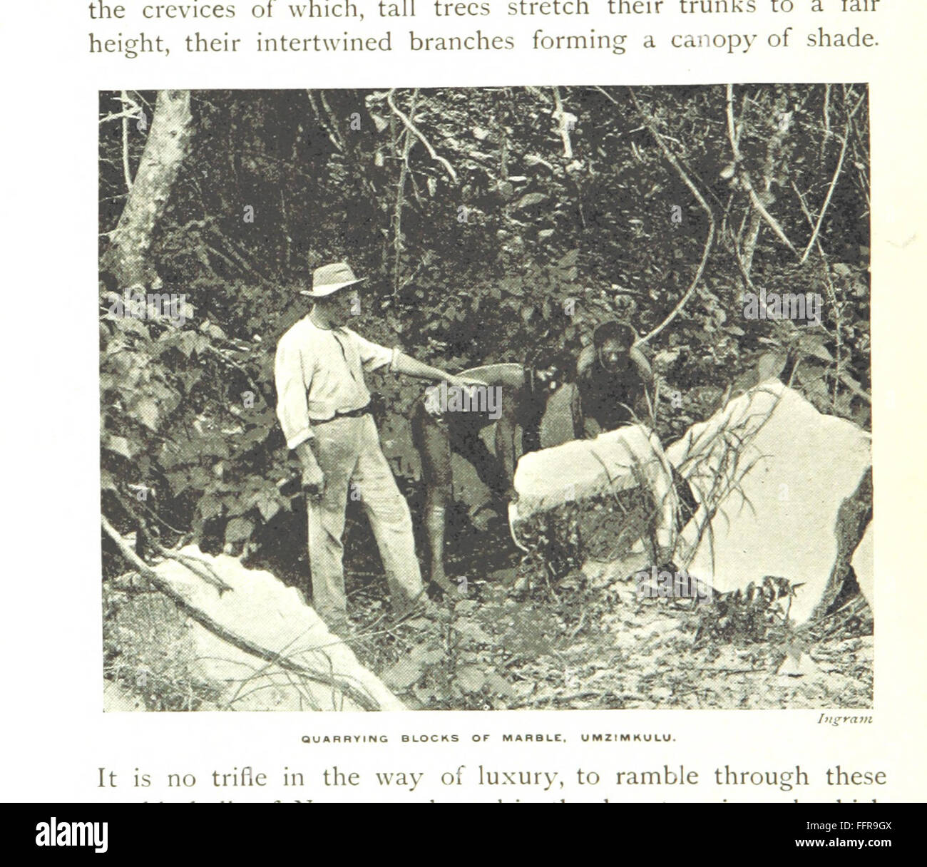 This illustrated official handbook provides a comprehensive overview of ...