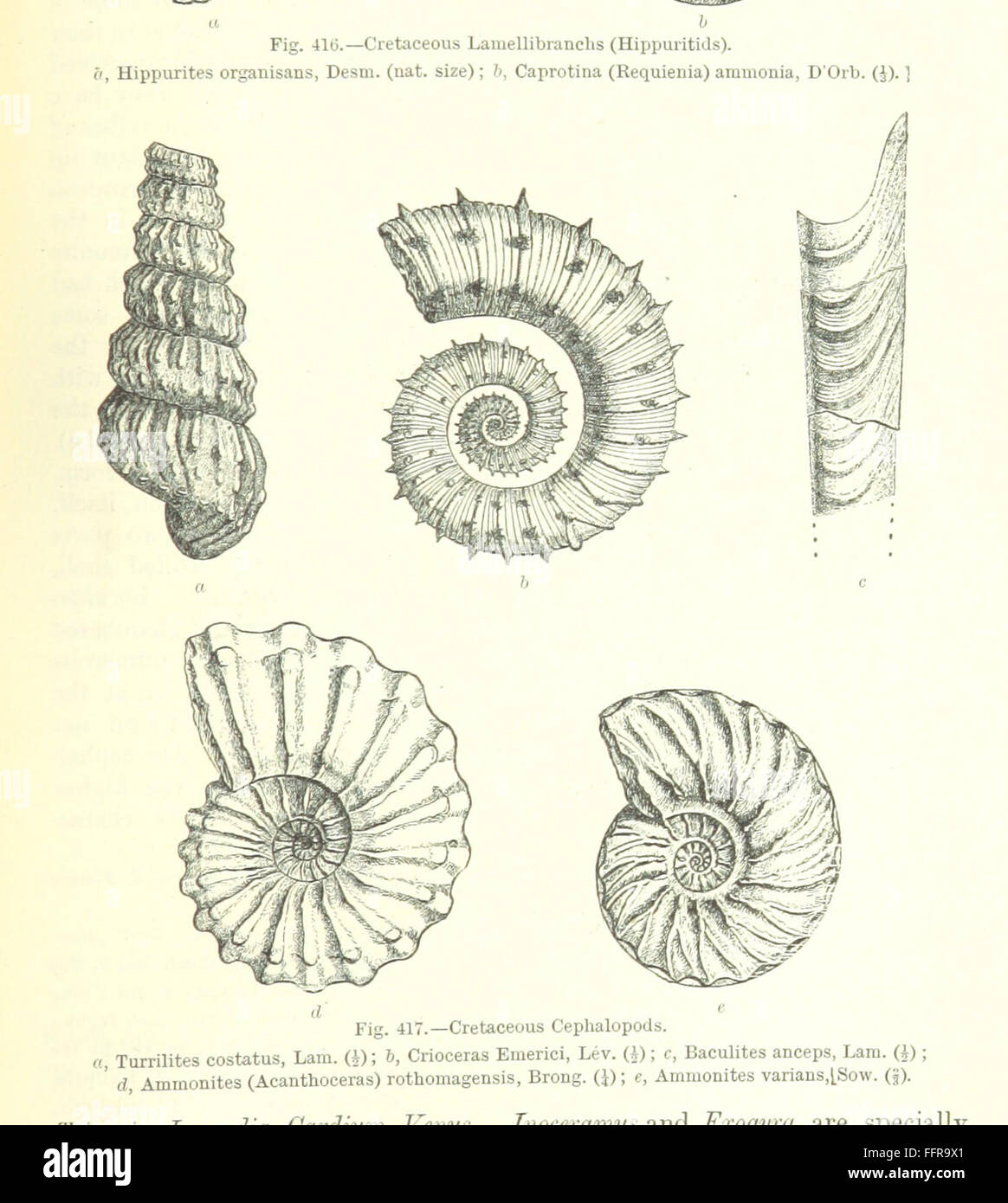 A comprehensive guide to geology, covering fundamental principles ...