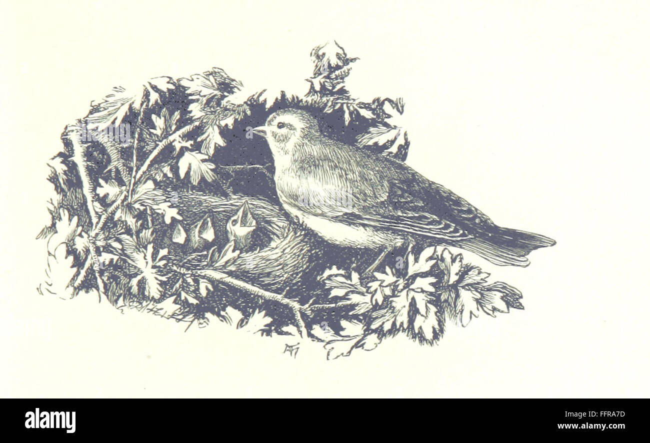 This vintage nursery rhyme book includes popular rhymes accompanied by ...