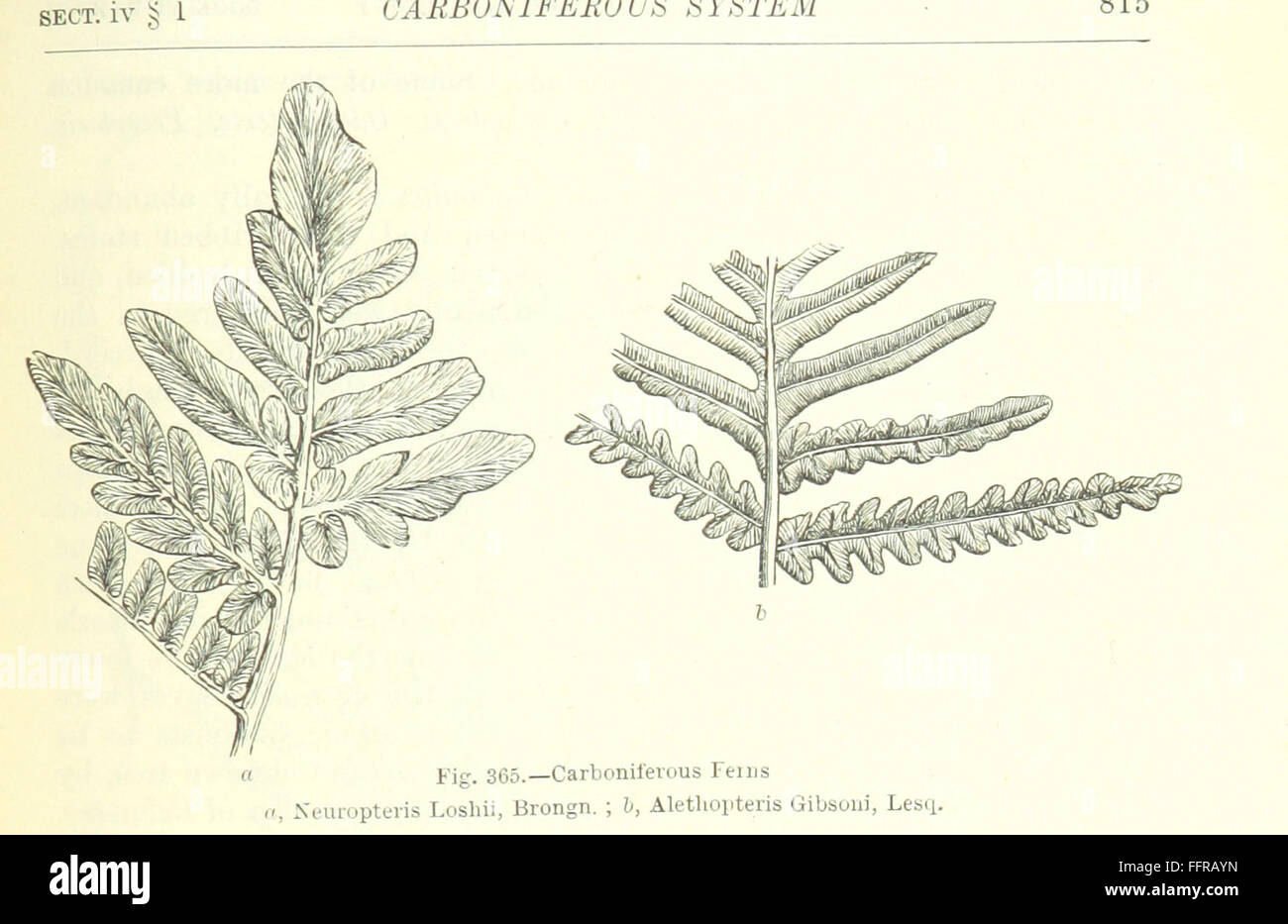 'Text-book of Geology' is a comprehensive guide to geology, covering ...