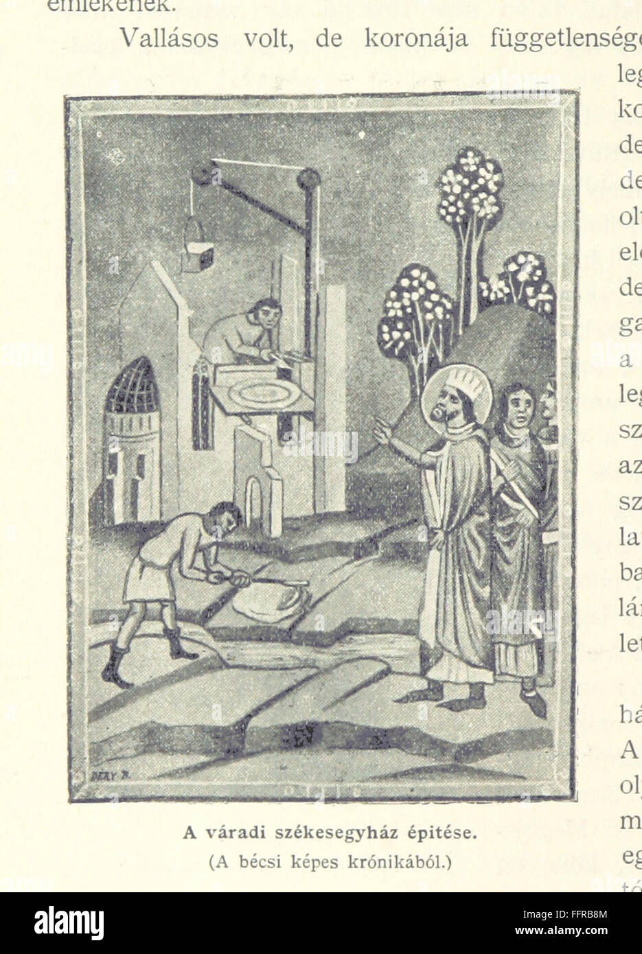 This book, edited by Szilaïgyi S., provides a history of the Hungarian ...