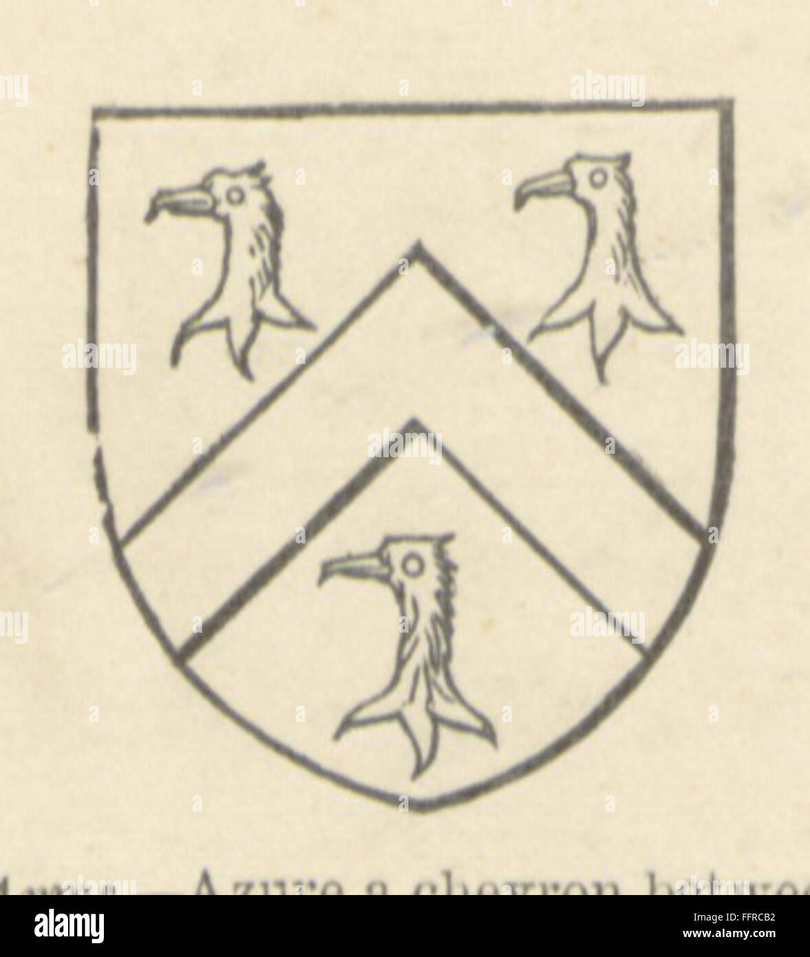 This vintage book covers the history and antiquities of the ...