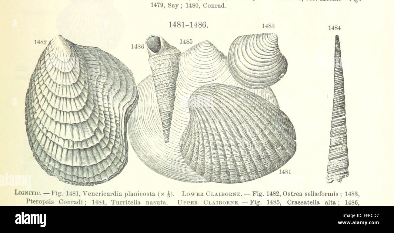 *Manual of Geology* provides a thorough exploration of geological ...