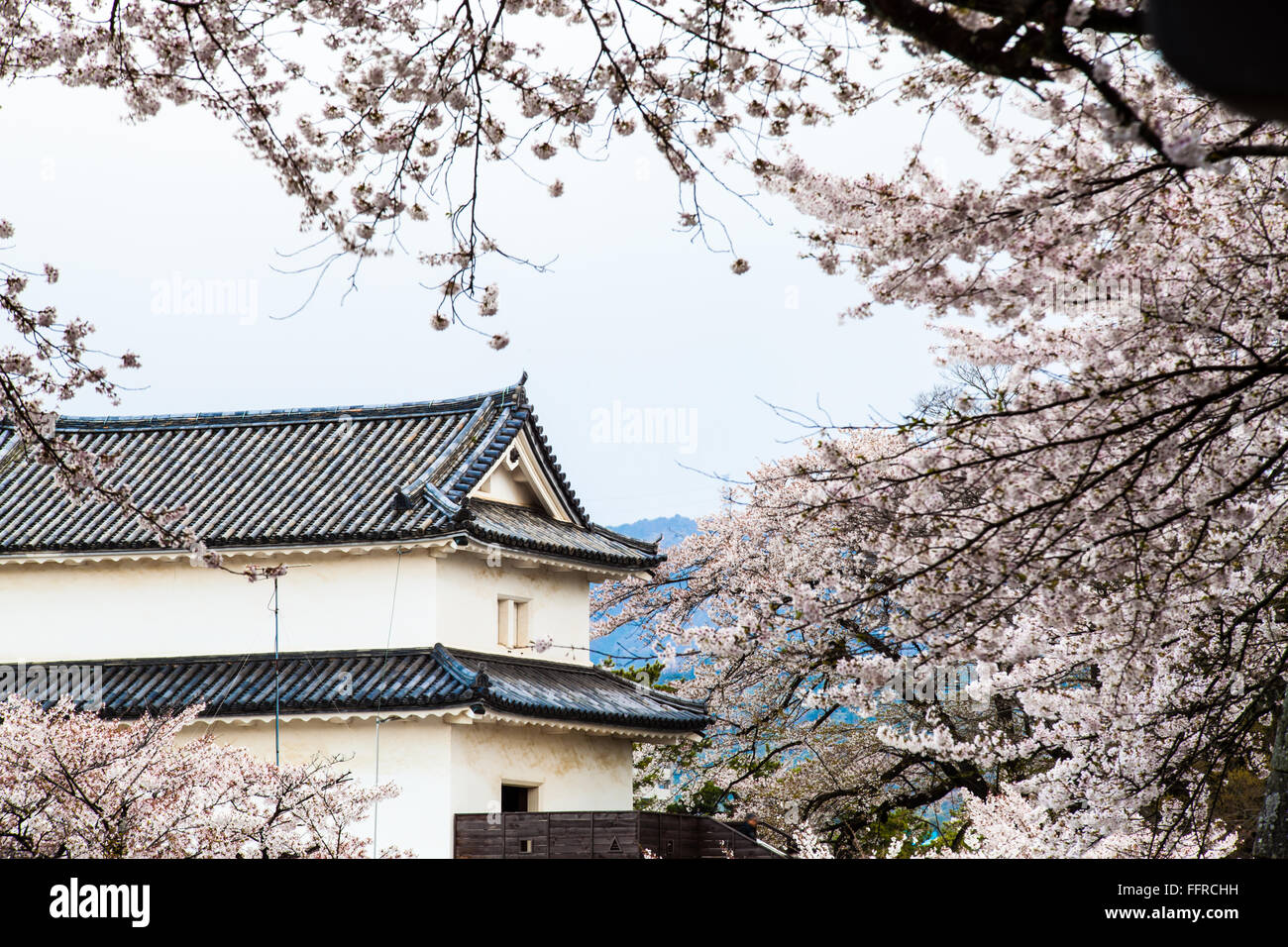 Kyoto, Japan - July, 12 : The perspective view of kyoto stree view as ...