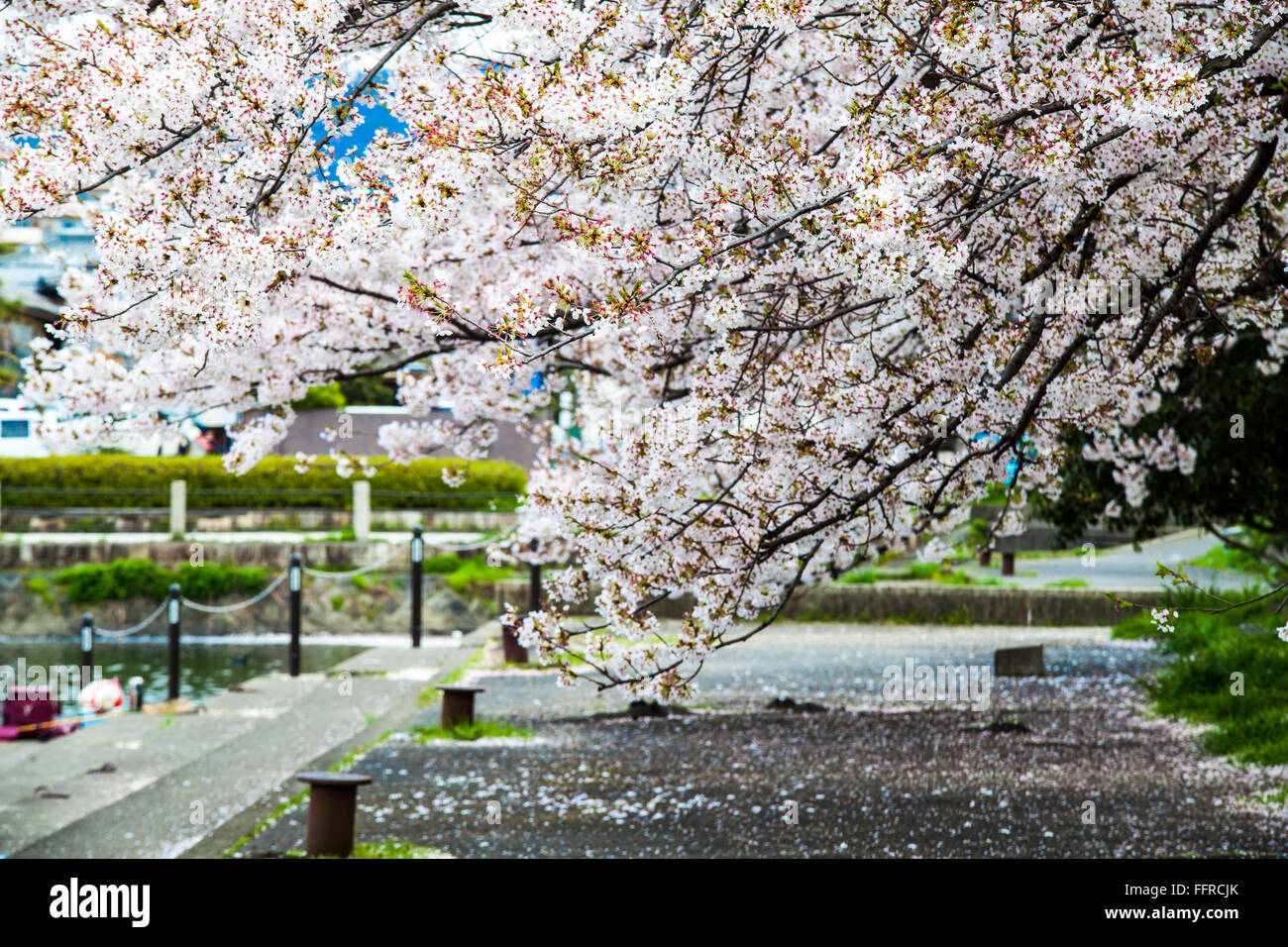 Kyoto, Japan - July, 12 : The perspective view of kyoto stree view as ...