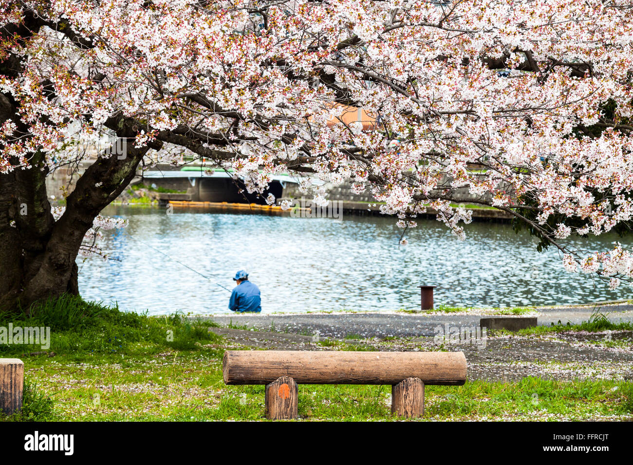 Kyoto, Japan - July, 12 : The perspective view of kyoto stree view as ...