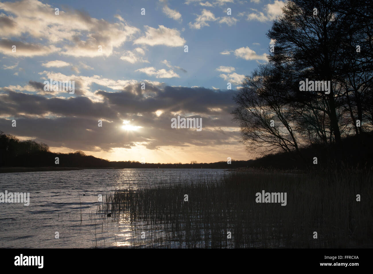 Ormesby little broad hi-res stock photography and images - Alamy
