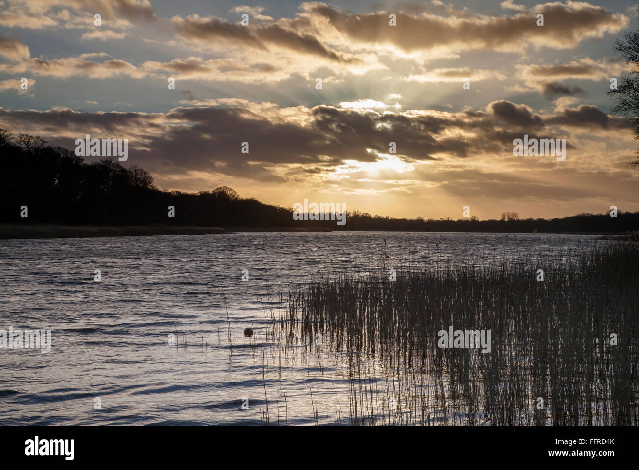 Ormesby little broad hi-res stock photography and images - Alamy