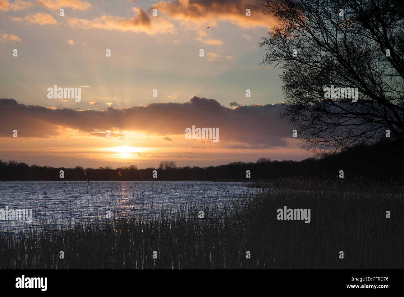 Ormesby Little Broad High Resolution Stock Photography and Images - Alamy