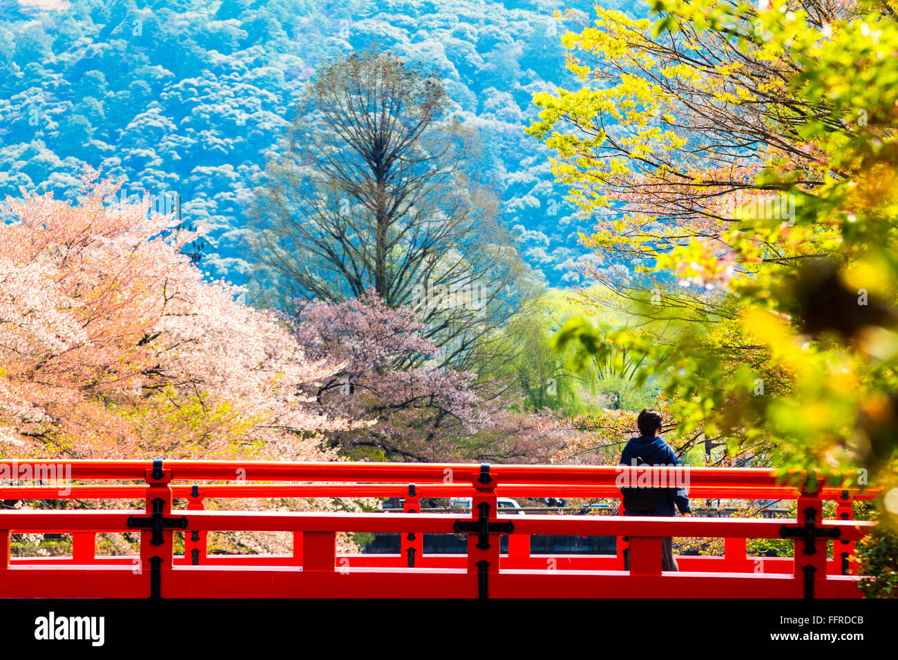 Kyoto, Japan - July, 12 : The perspective view of kyoto stree view as ...