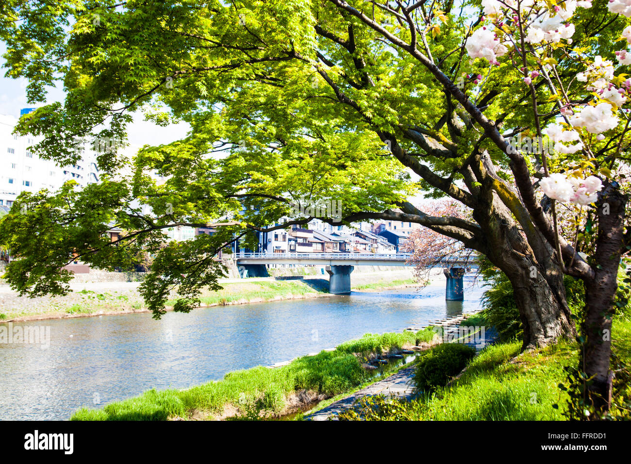 Kyoto, Japan - July, 12 : The perspective view of kyoto stree view as ...