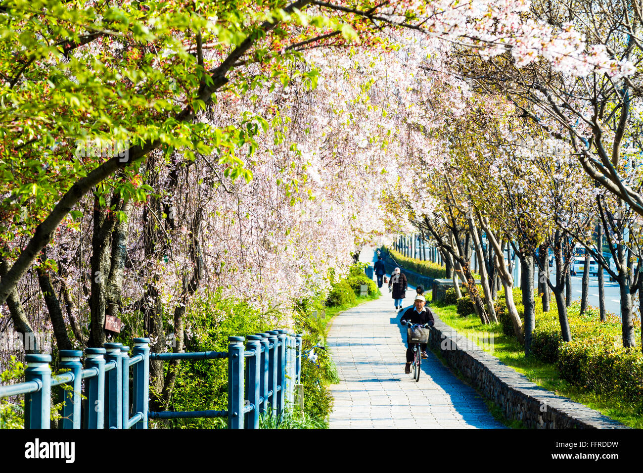 Kyoto, Japan - July, 12 : The perspective view of kyoto stree view as ...
