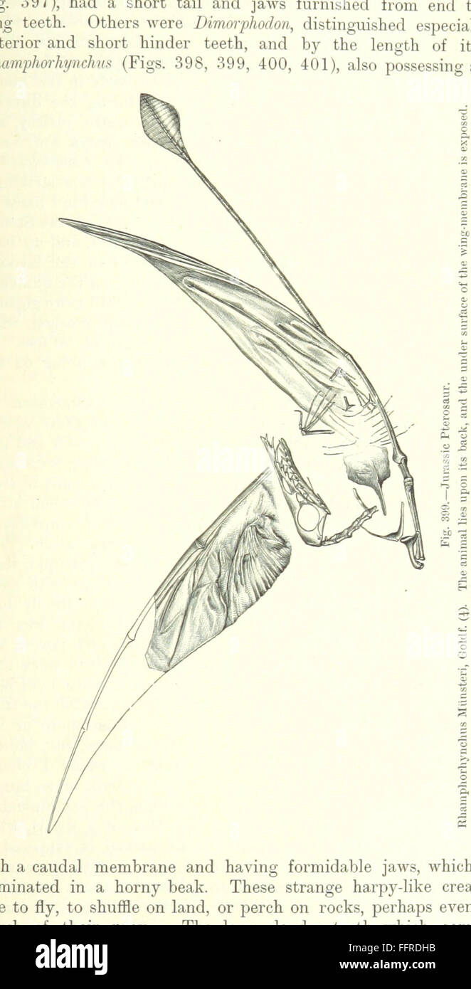 The 'Text-book of Geology' provides an in-depth examination of ...