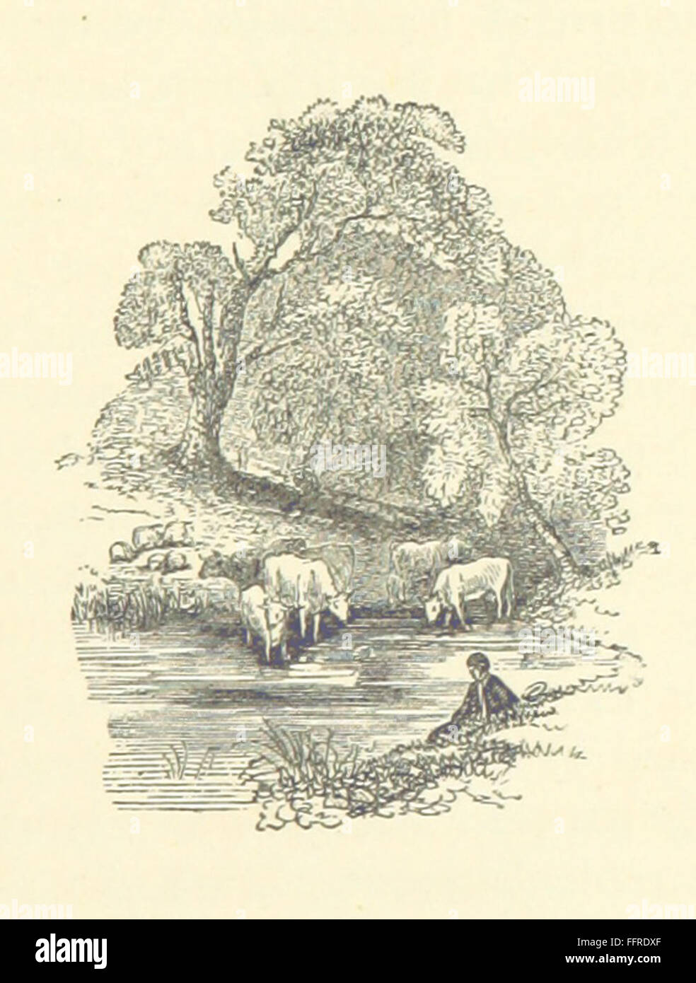 'More Precious than Gold' is a vintage book that highlights the ...