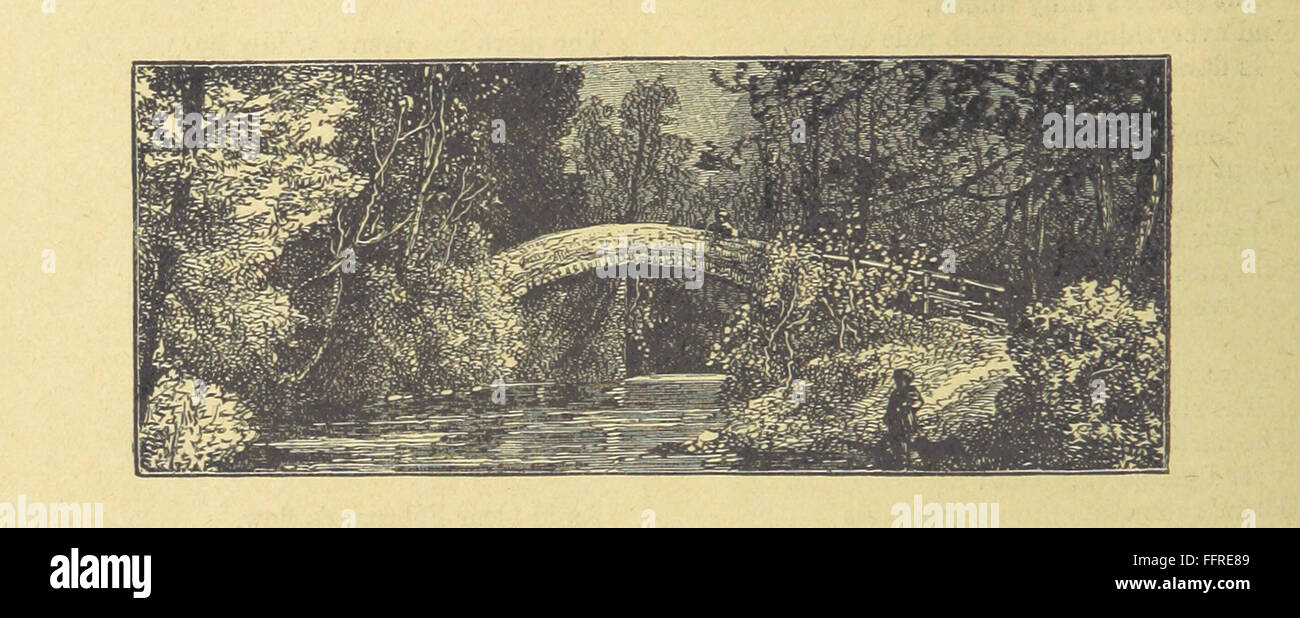 *Gleanings from Popular Authors* is a collection of excerpts and works ...