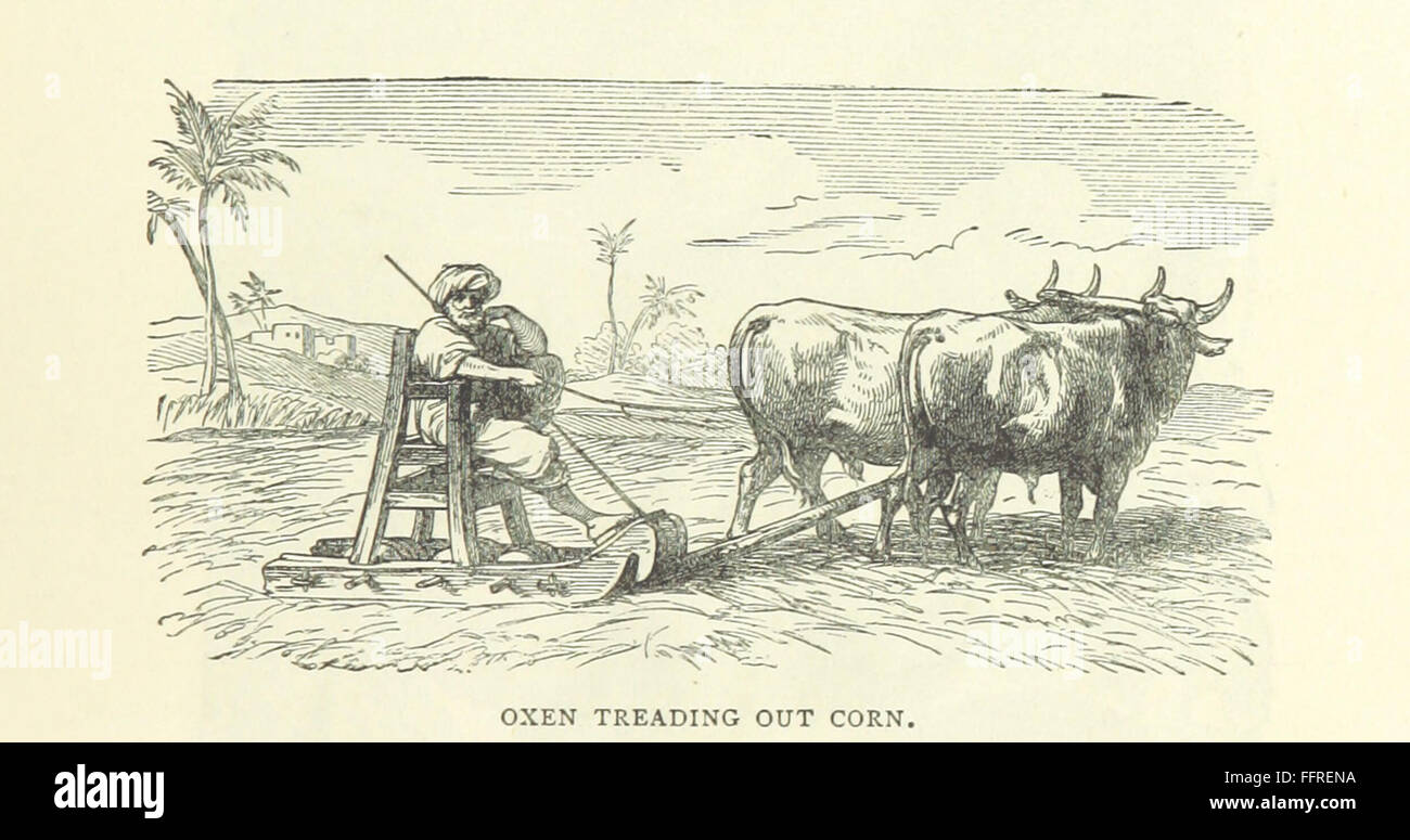 'Palestine Past and Present' offers both pictorial and descriptive ...