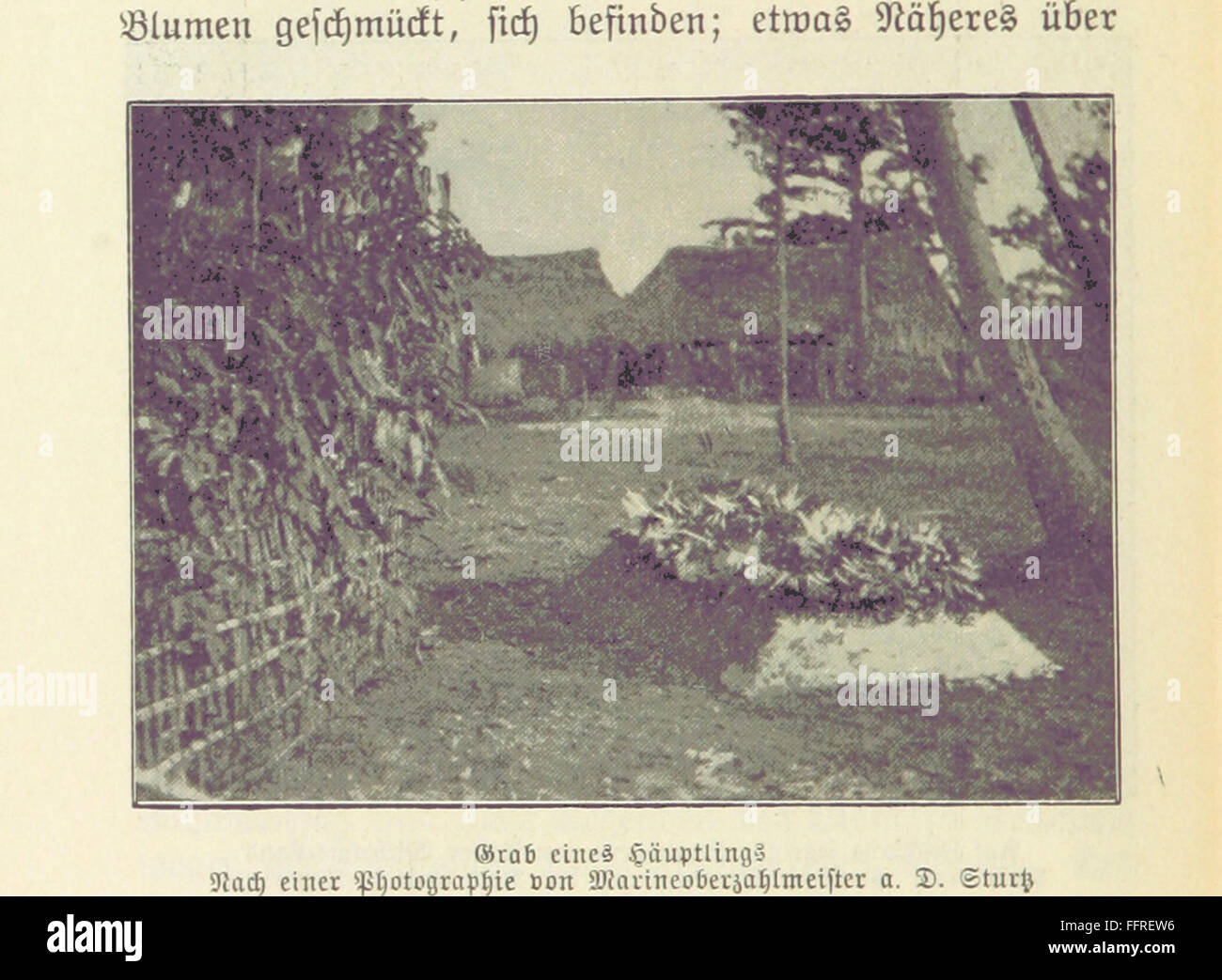 This German book discusses the German colonies, their development ...